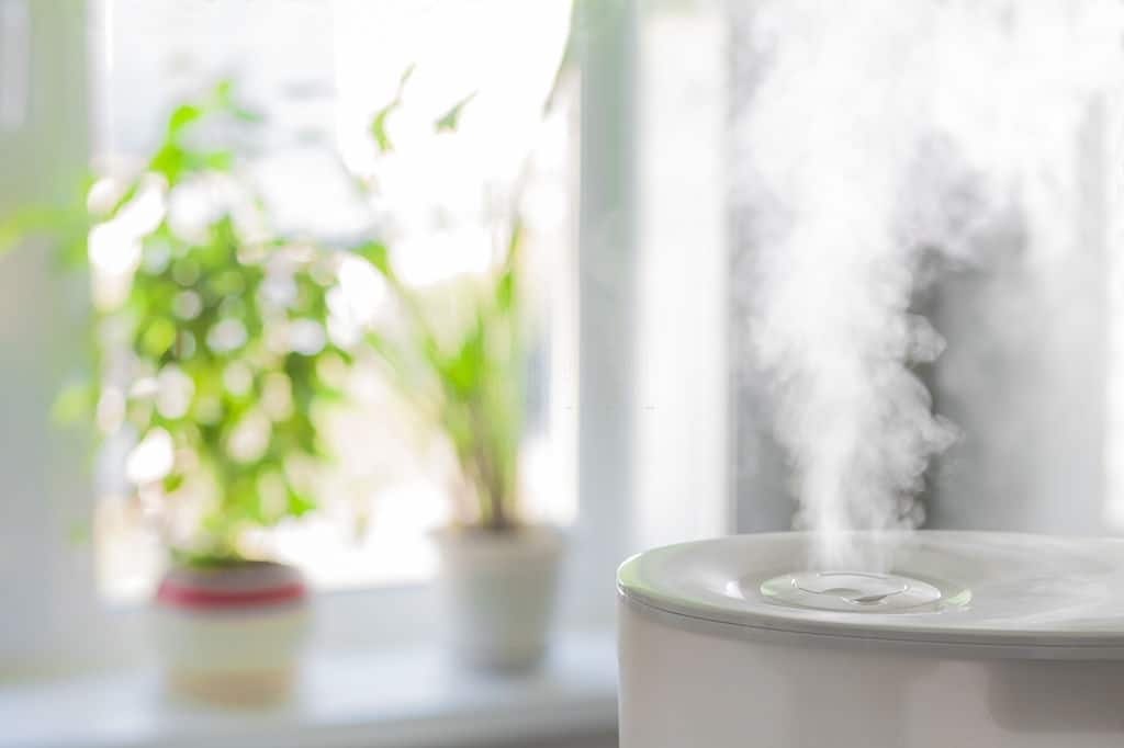 Los grandes beneficios de tener un humidificador en casa