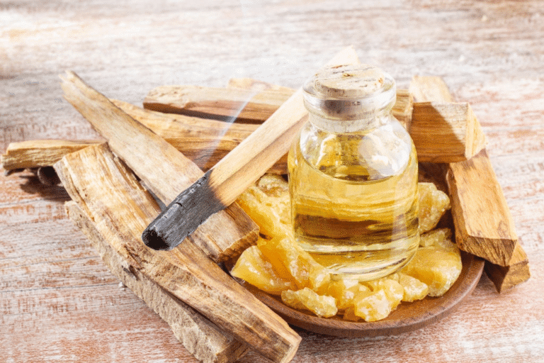 Beneficios y usos del Palo Santo, la madera espiritual – Laboratorio SyS